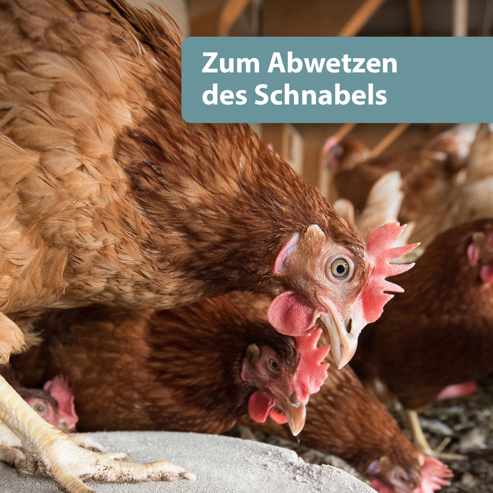 Quiko Hobby Farming: Mineral Grit Stone